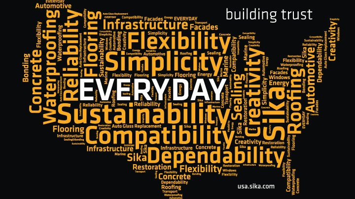 Scott Auch - Portfolio - EVERY DAY Sika - Printed Collateral